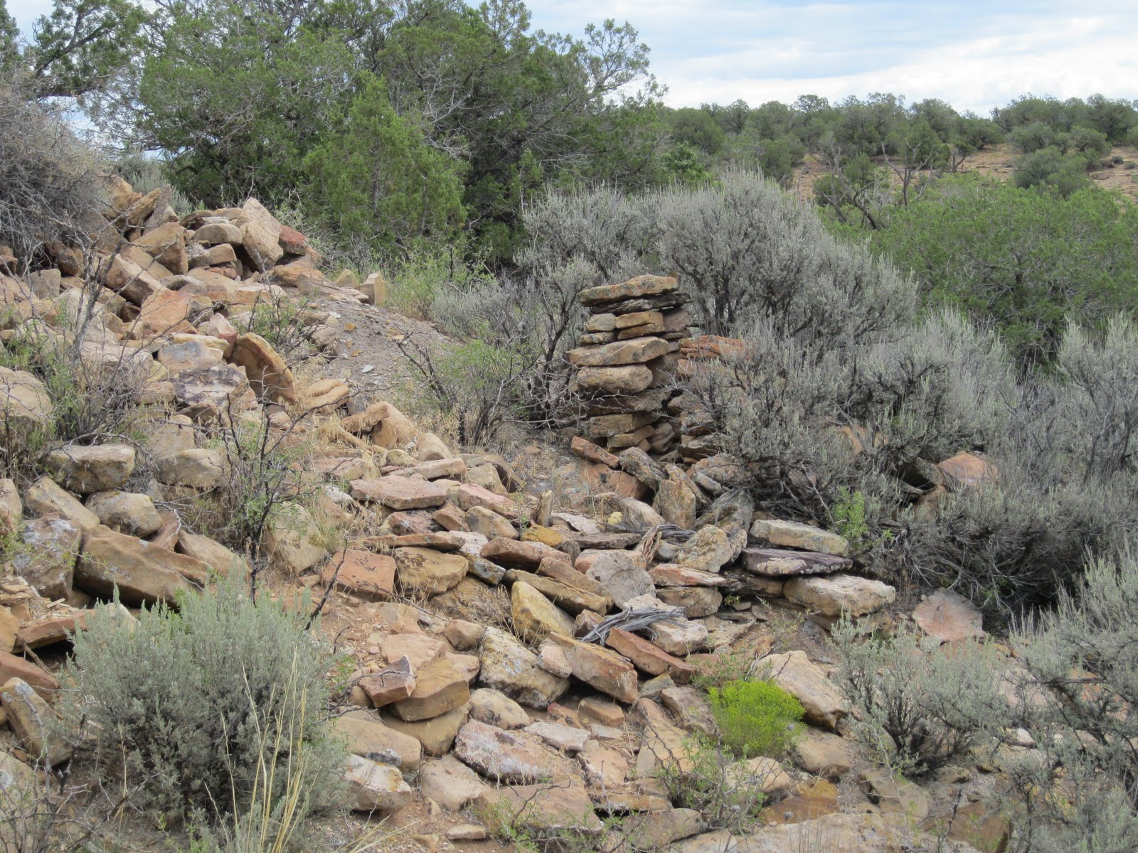 Four Corners Hikes-Canyons of the Ancients: Pedro Point Southeast