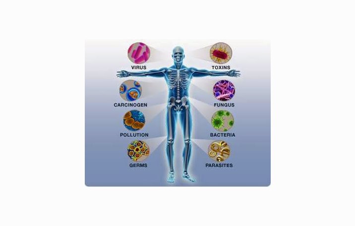 Sistem Kekebalan Tubuh (Imun) Manusia | Markas Belajar