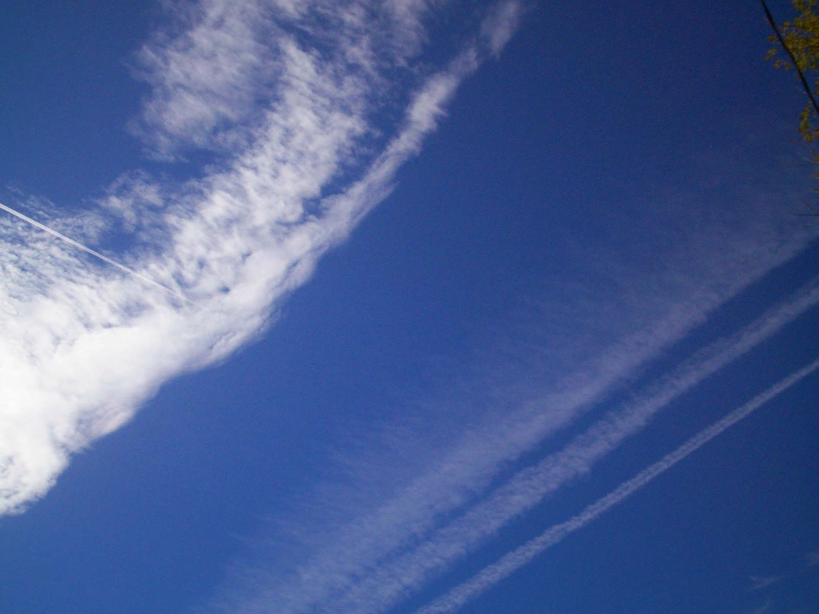 Lone Wolf Concerto: WEIRD SKY