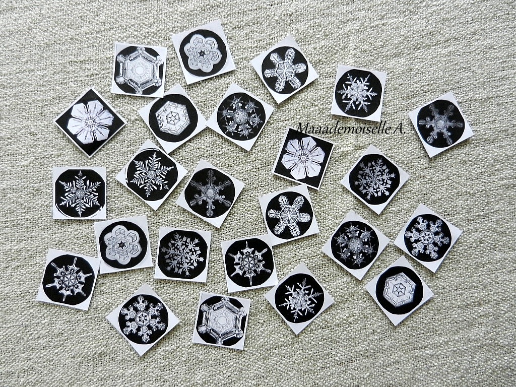 Maaademoiselle A.: || Nos activités sur les flocons de neiges