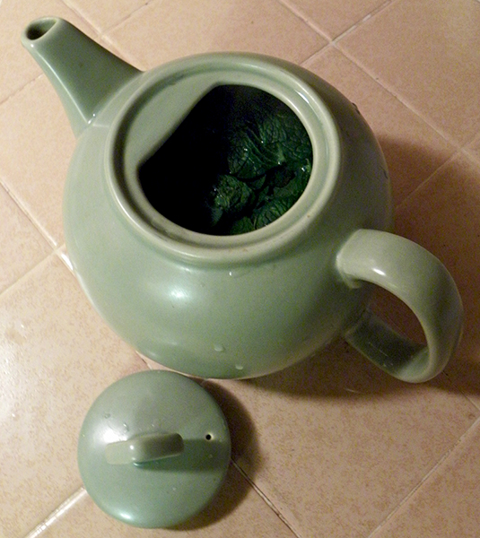 Seasonal Eating: Fresh Mint Tea