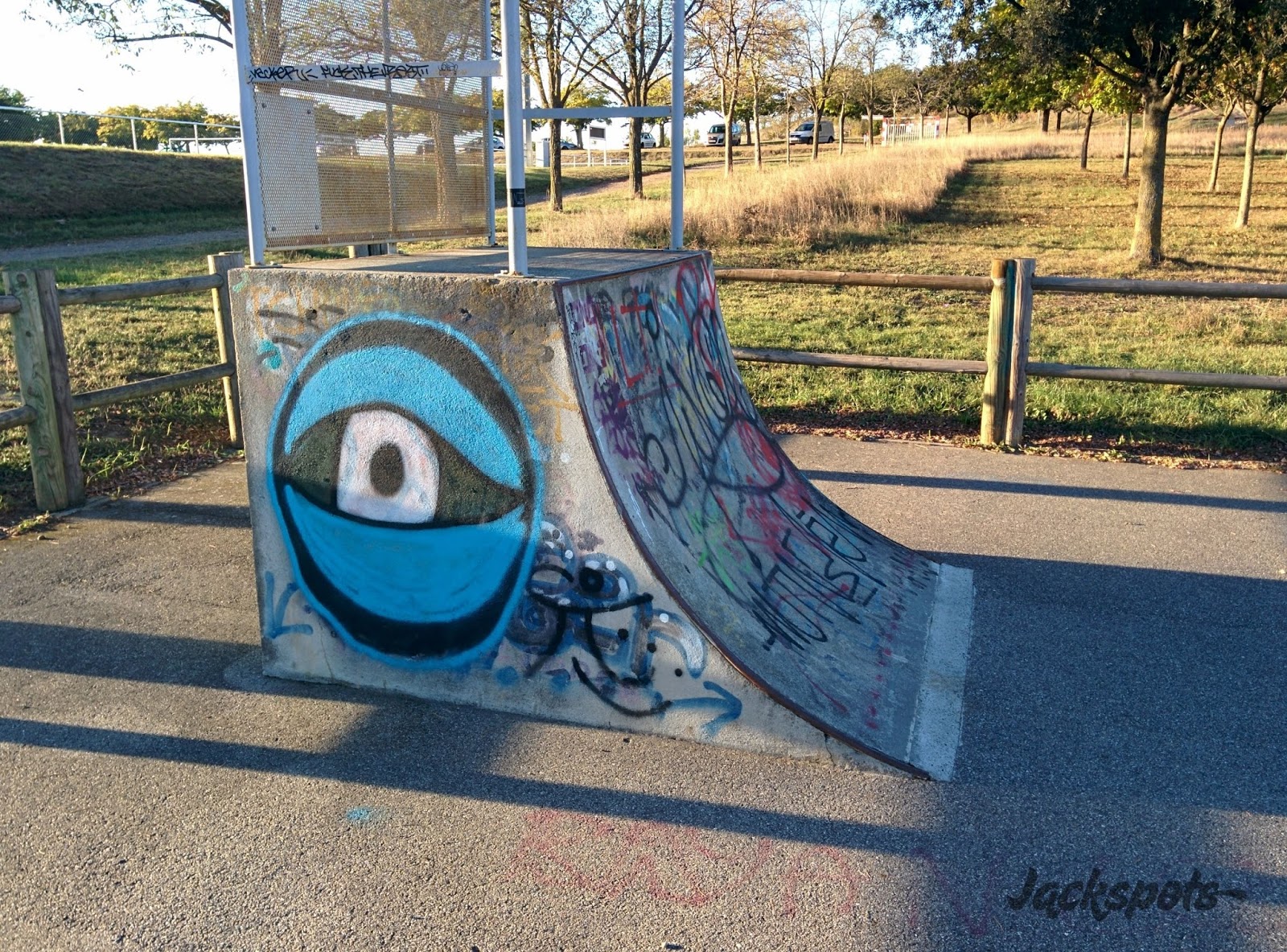 Toulouse - Le skatepark de Pech David | Jackspots