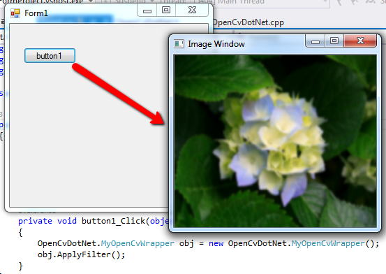 Milinda Pro: Call OpenCV functions from C#.net