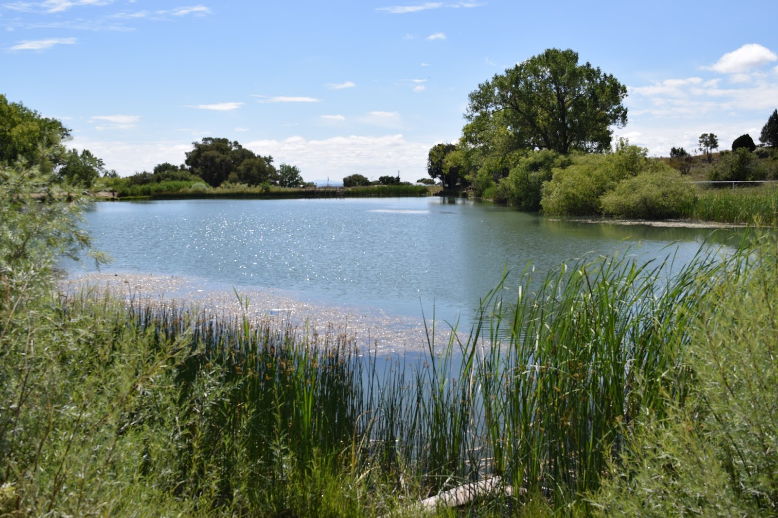 New Mexico Adventures: Manzano Lake