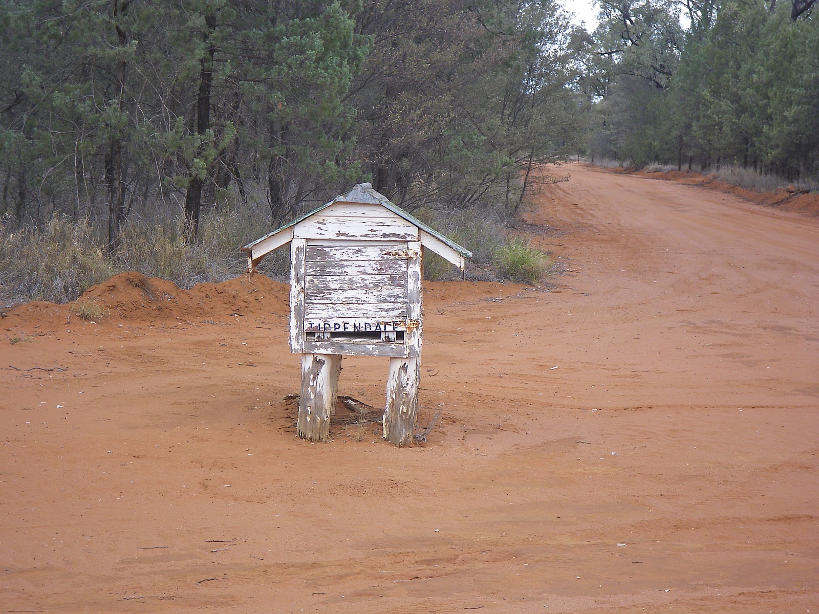 To Birdsville With Bull Dust Water And Woes to-birdsville-with-bull-dust-water-and-woes