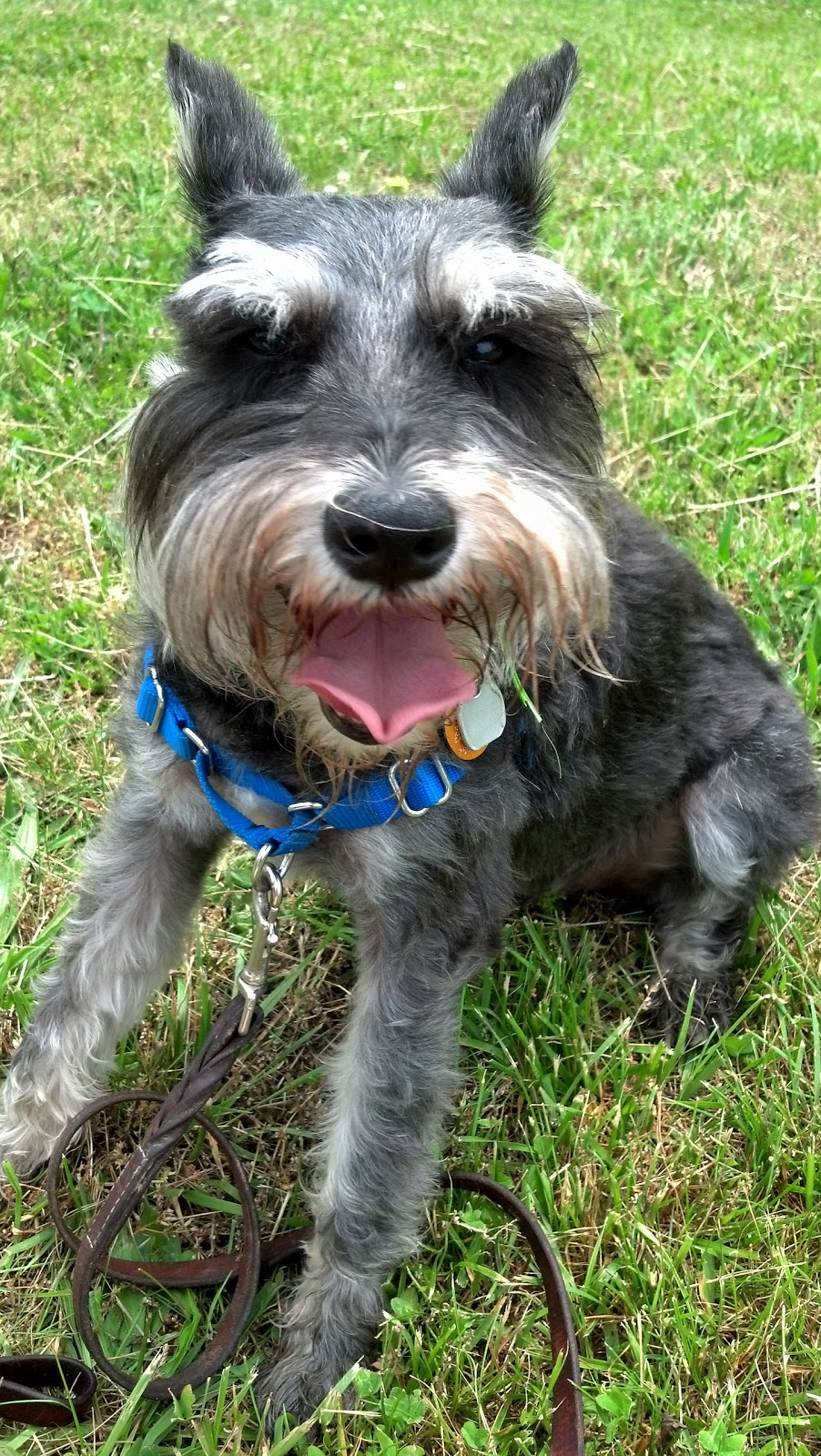 Author Amok: Poetry Friday: Owl Feathers