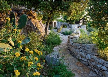 Corfu English garden in Greece ~ English garden