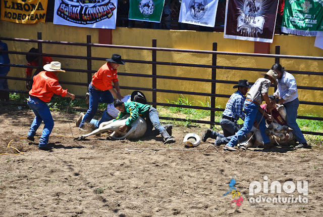 RODEO FESTIVAL Experience in Masbate City | Blogs, Travel Guides ...