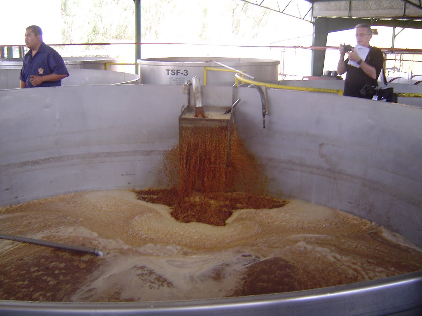 Mucho Agave: Tequila Production