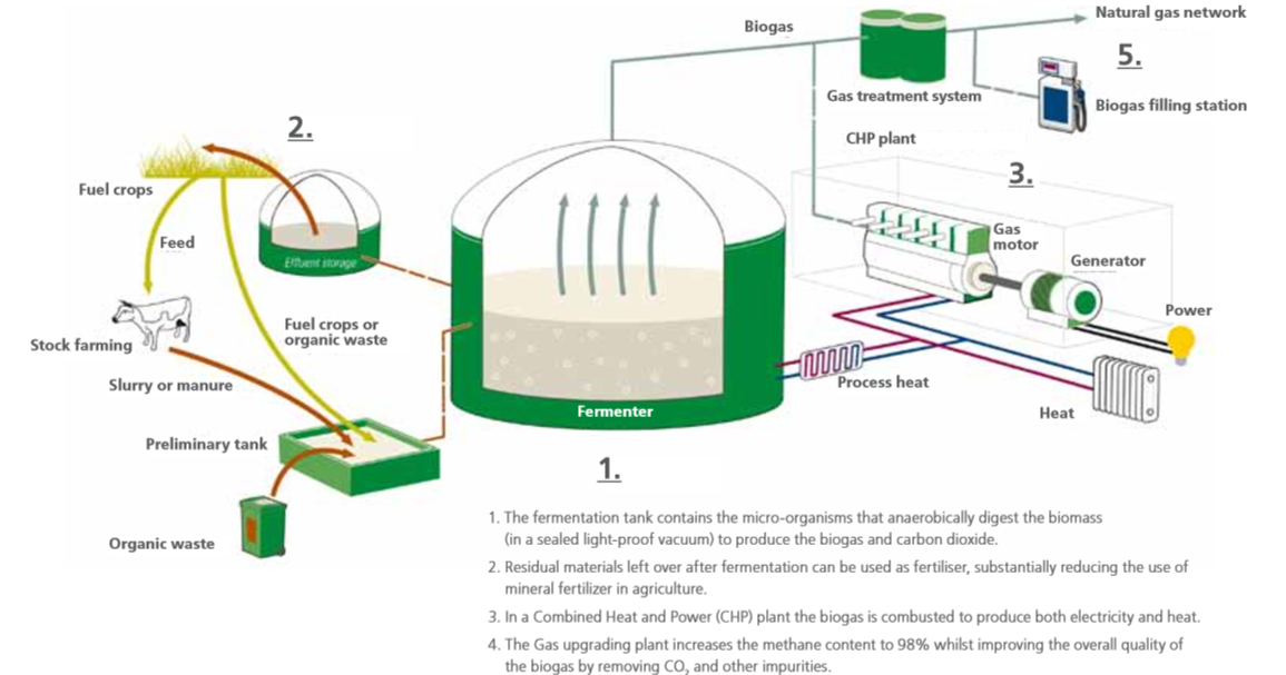 Green Energy: Biogas energy