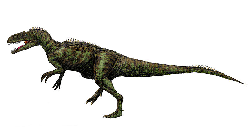 Species New to Science: [Paleontology • 1964] Chilantaisaurus ...