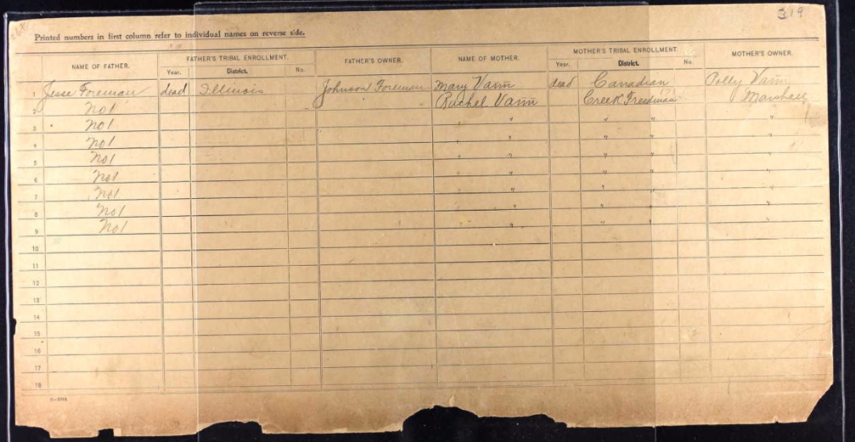 The African-Native American Genealogy Blog: Cato Vann and Family ...