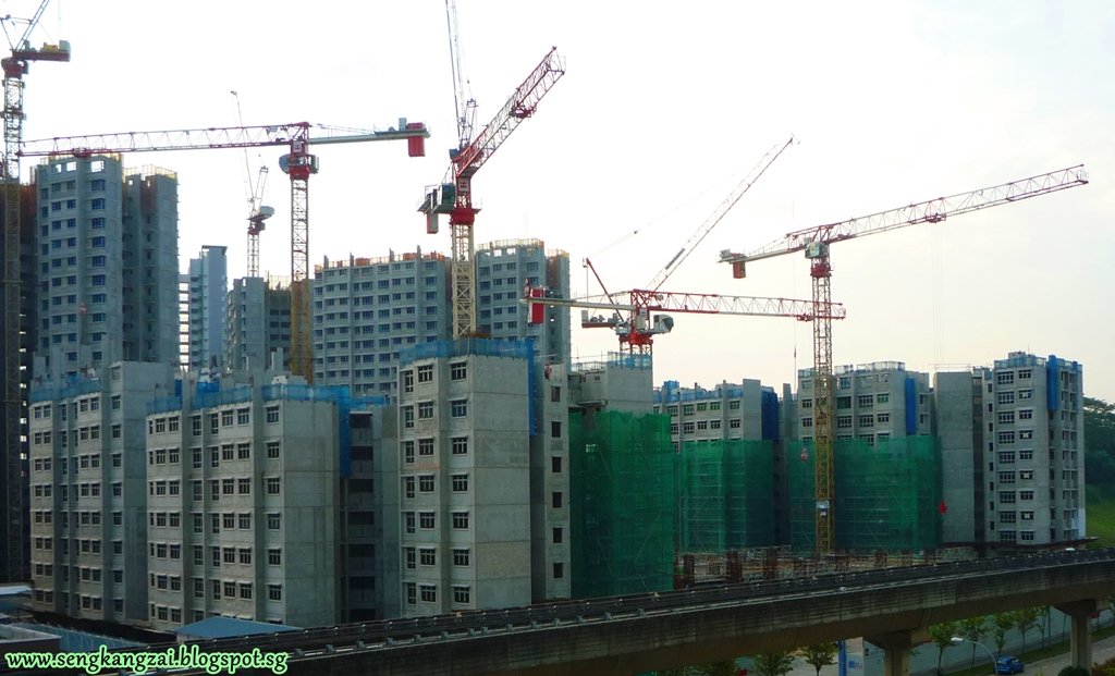 Zai@Sengkang: Fernvale Flora (Completed)