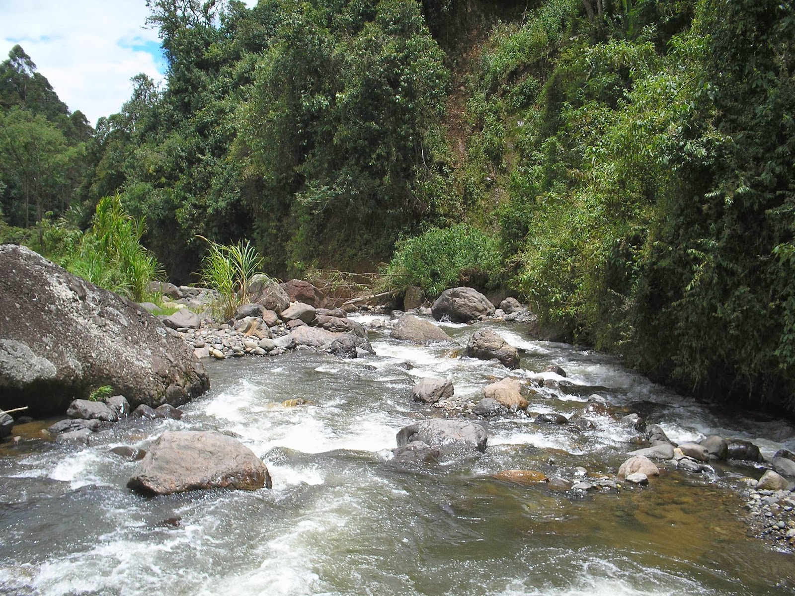 Angelópolis Antioquia: Historia
