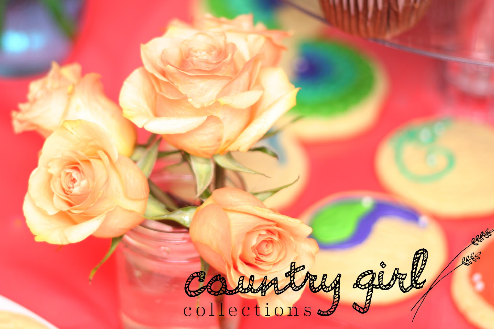 Country Girl Collections: A Country Girl Collections Sprinkle Shower ...