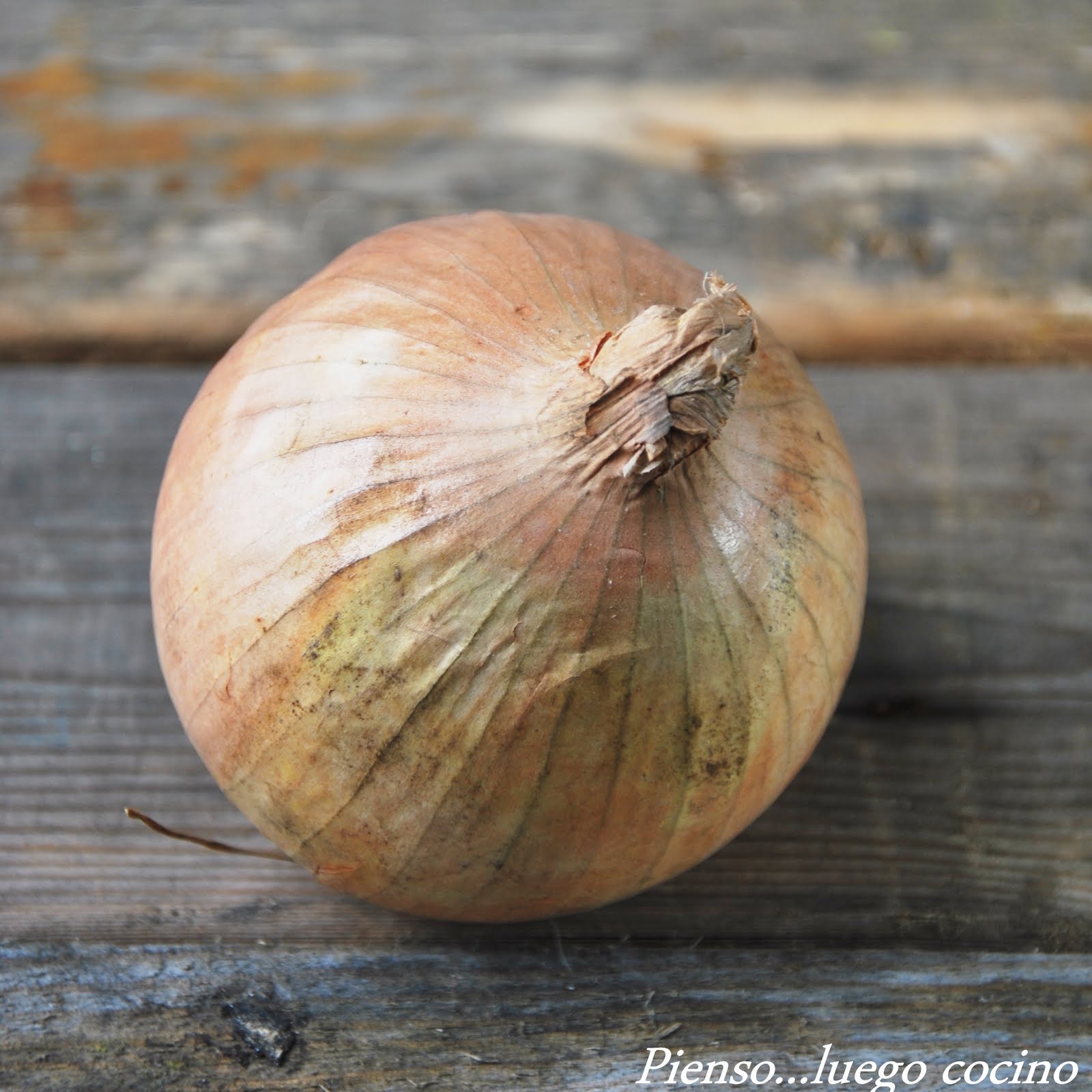 Pienso...luego cocino: Cebolla