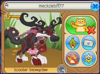 The Animal Jam Dragon