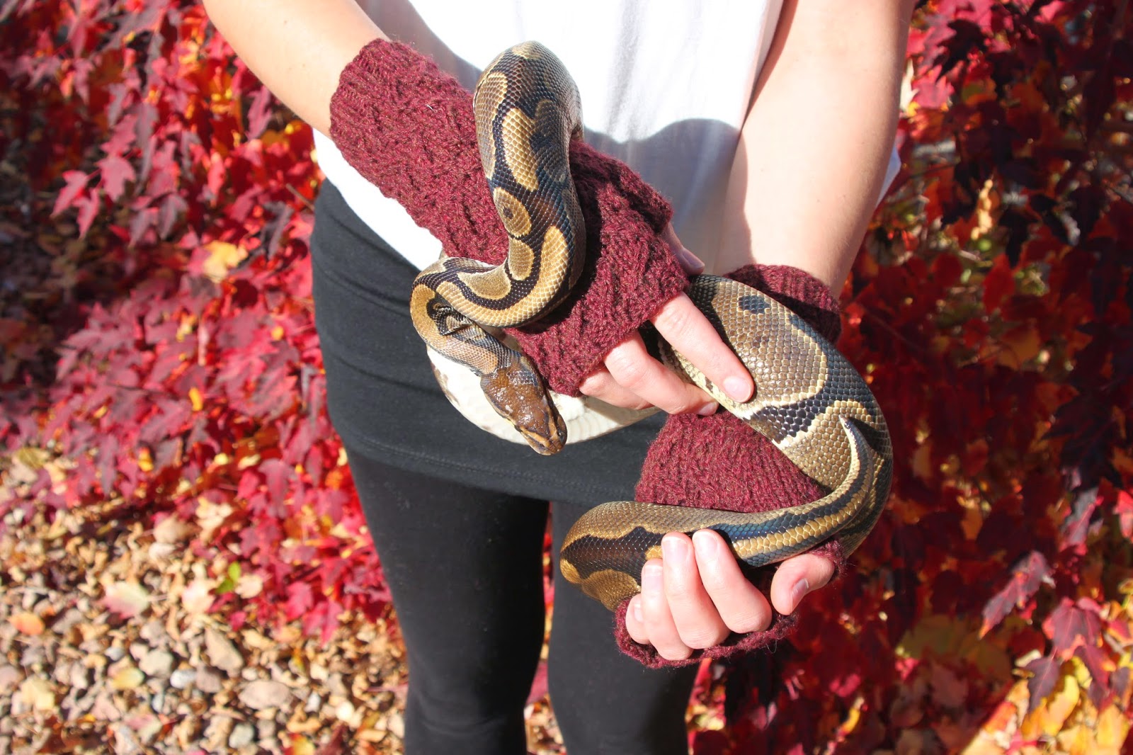 Emily's Knitted Whimsy: Pattern - Slither Mitts