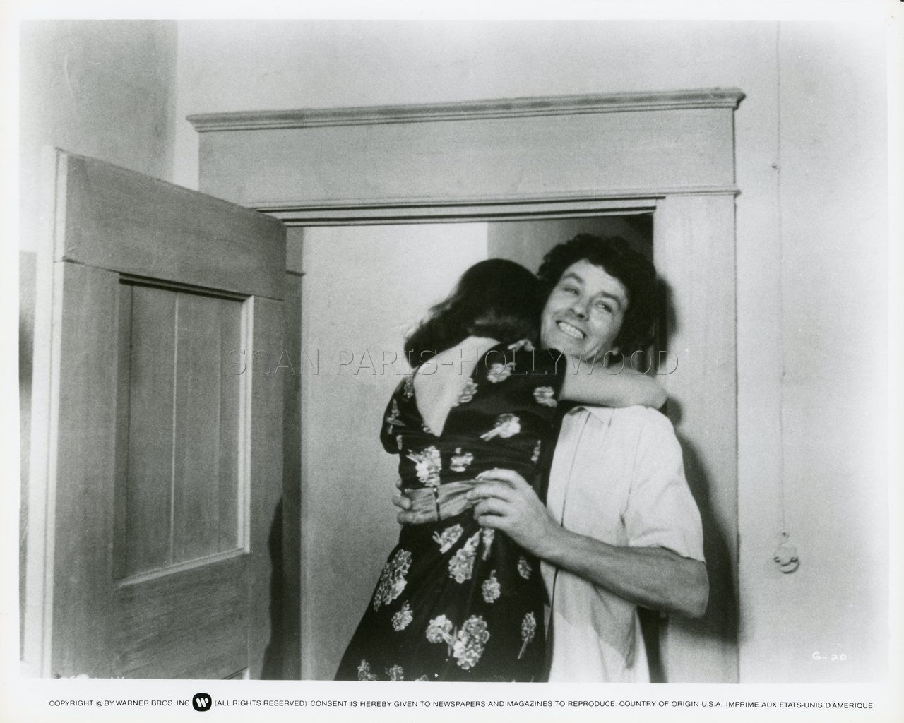 ALAIN DELON: FILMS POLICIALES II. POLICE FILMS