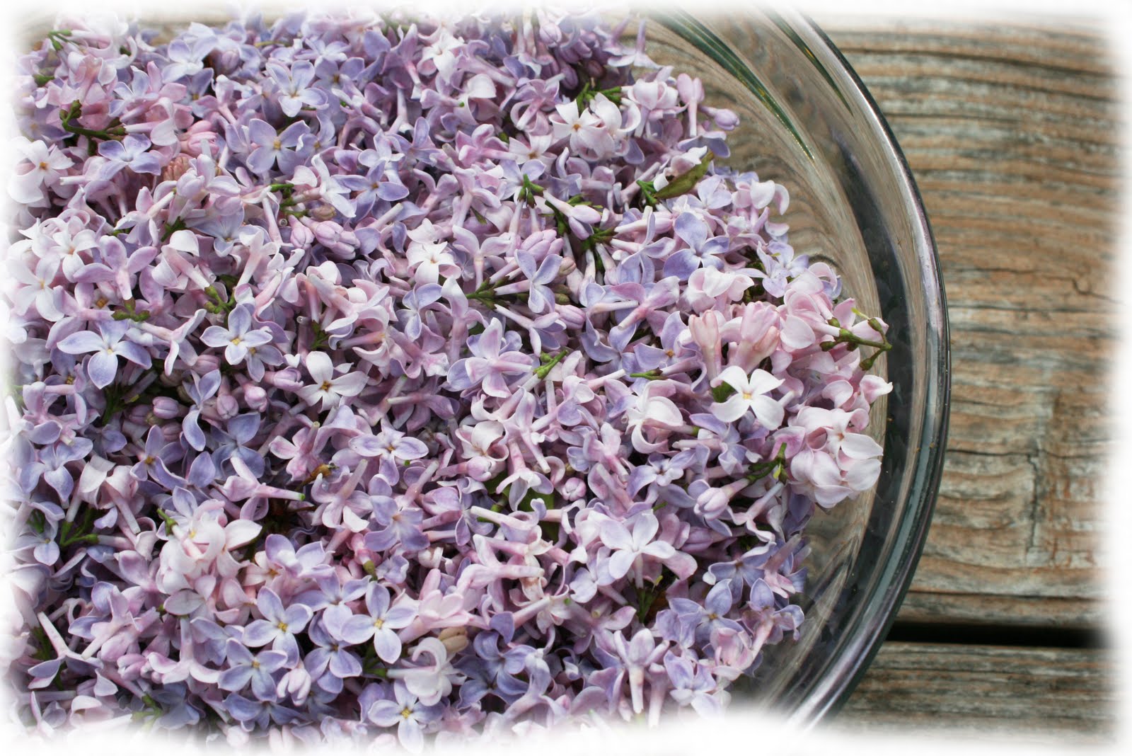 The Little Backyard Farm: Lilac Jelly