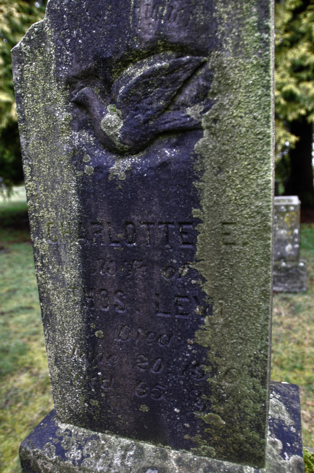 cemeteries i have known and loved: mt pleasant cemetery, queen anne ...