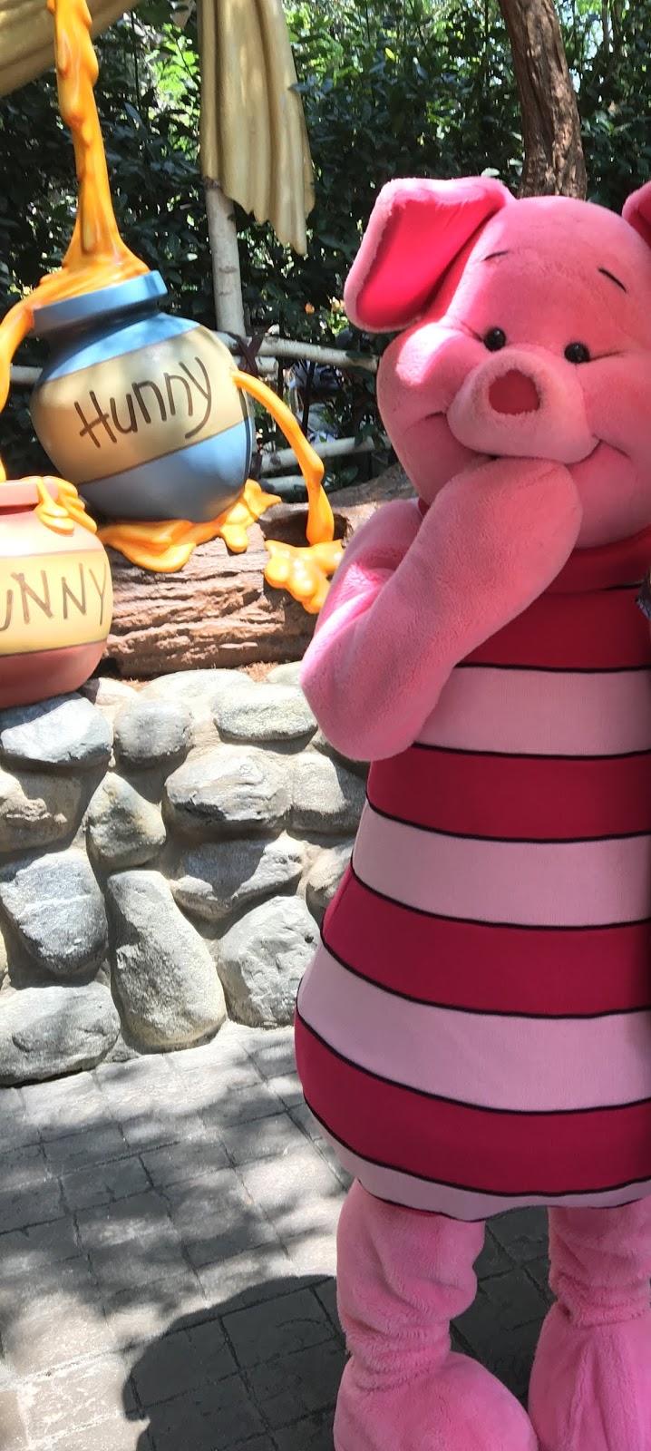 Piglet Disneyland