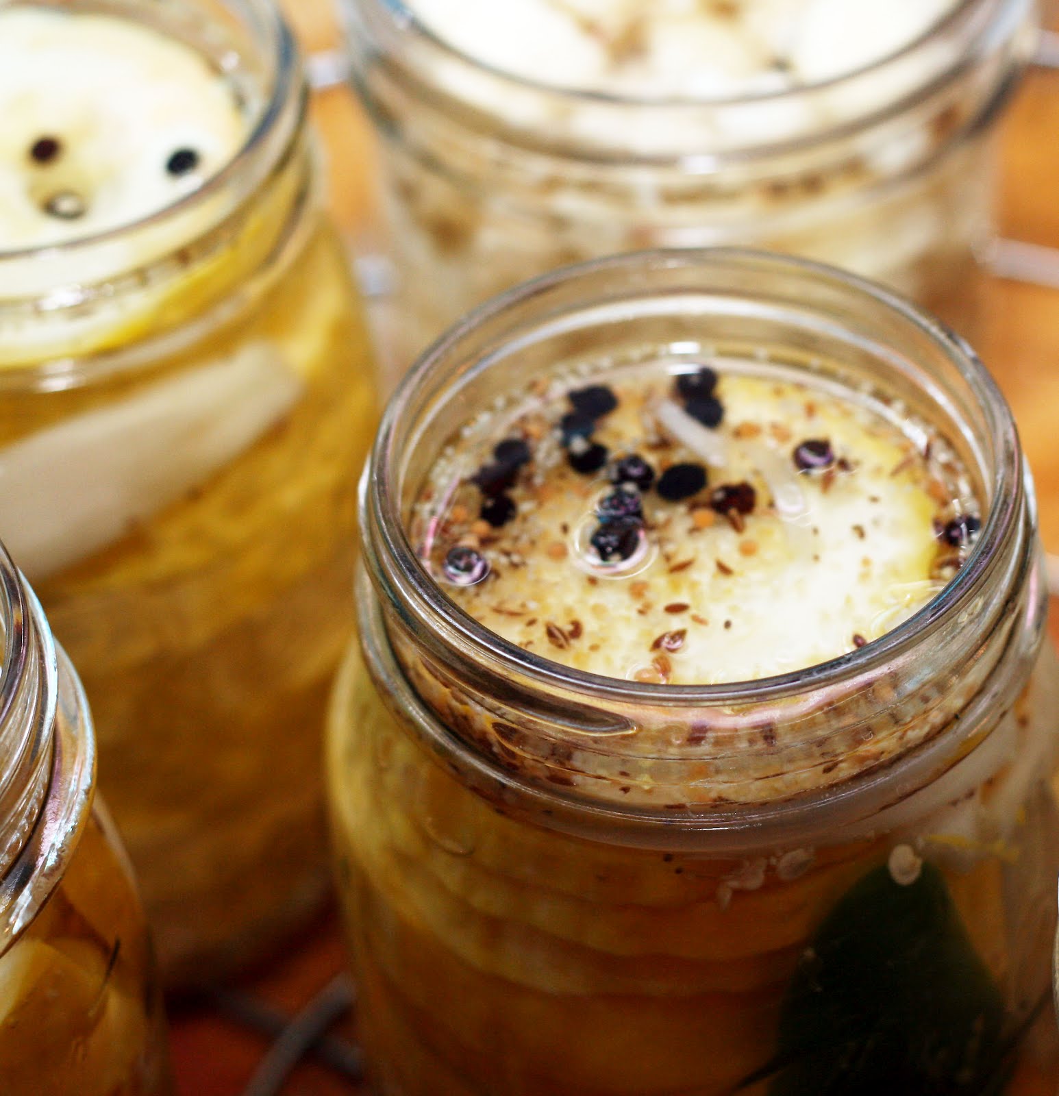 Sunshine Crookneck Squash Pickles – Coconut & Lime