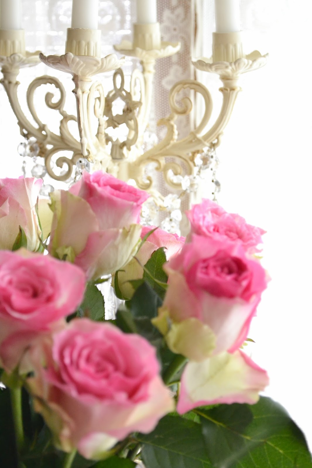 Jennelise: Pretty Pink Roses