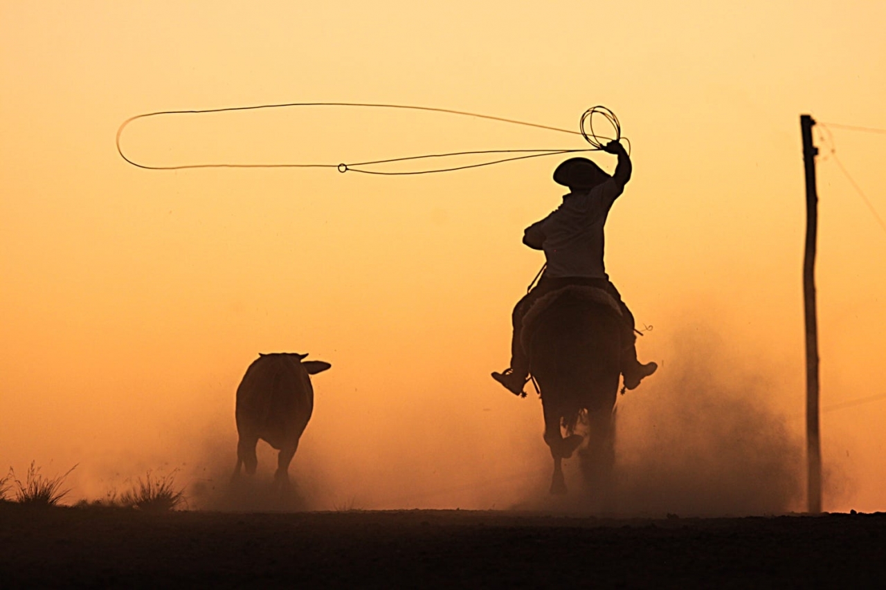 XII Rodeio Crioulo Internacional de Imbé inicia na próxima quarta ...