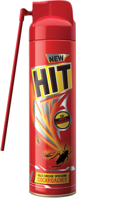 Getting Your Kitchen Christmas Ready