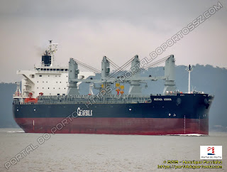 Maitaca Arrow - Portal do Porto