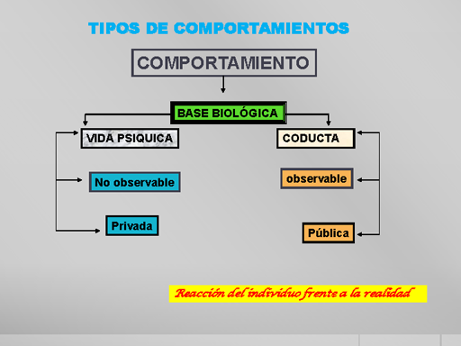 LA CONDUCTA HUMANA: TIPOS DE CONDUCTA HUMANA