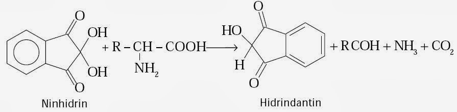 Belajar Matematika Simpel: Pintar Pelajaran Identifikasi Protein Dan ...