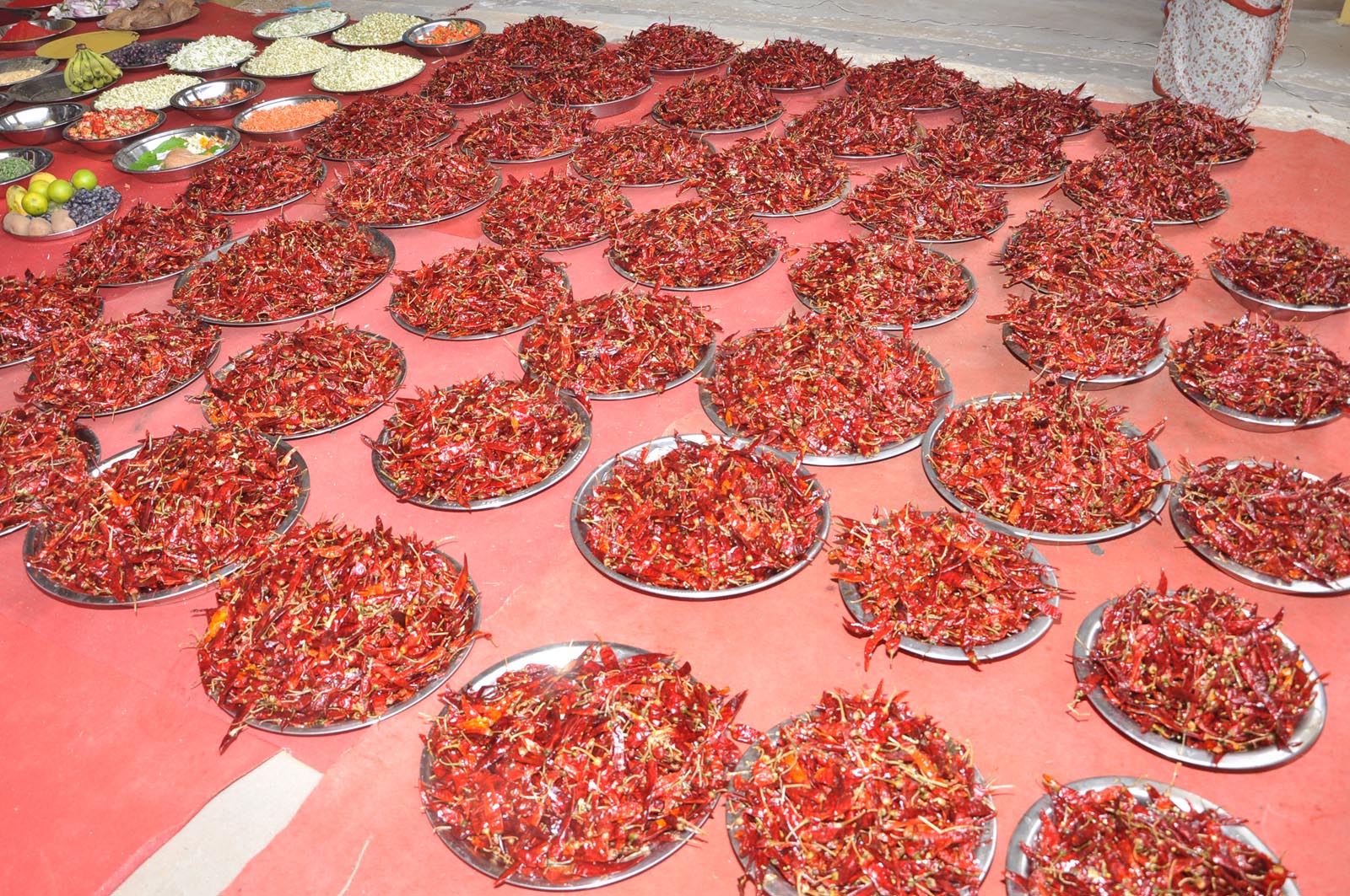 Danvantri Peedam - Universal Peedam: Nikumbala Yaagam for world peace ...