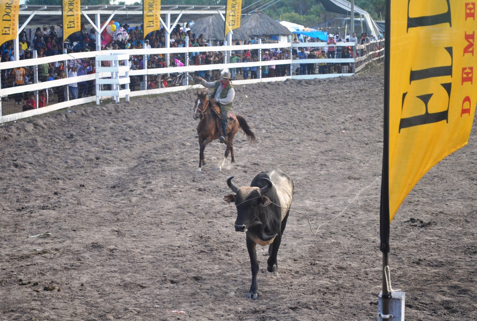 It's Always Sunny In Guyana: Rodeo...Rodeo..RO-DE-OOO!!!!