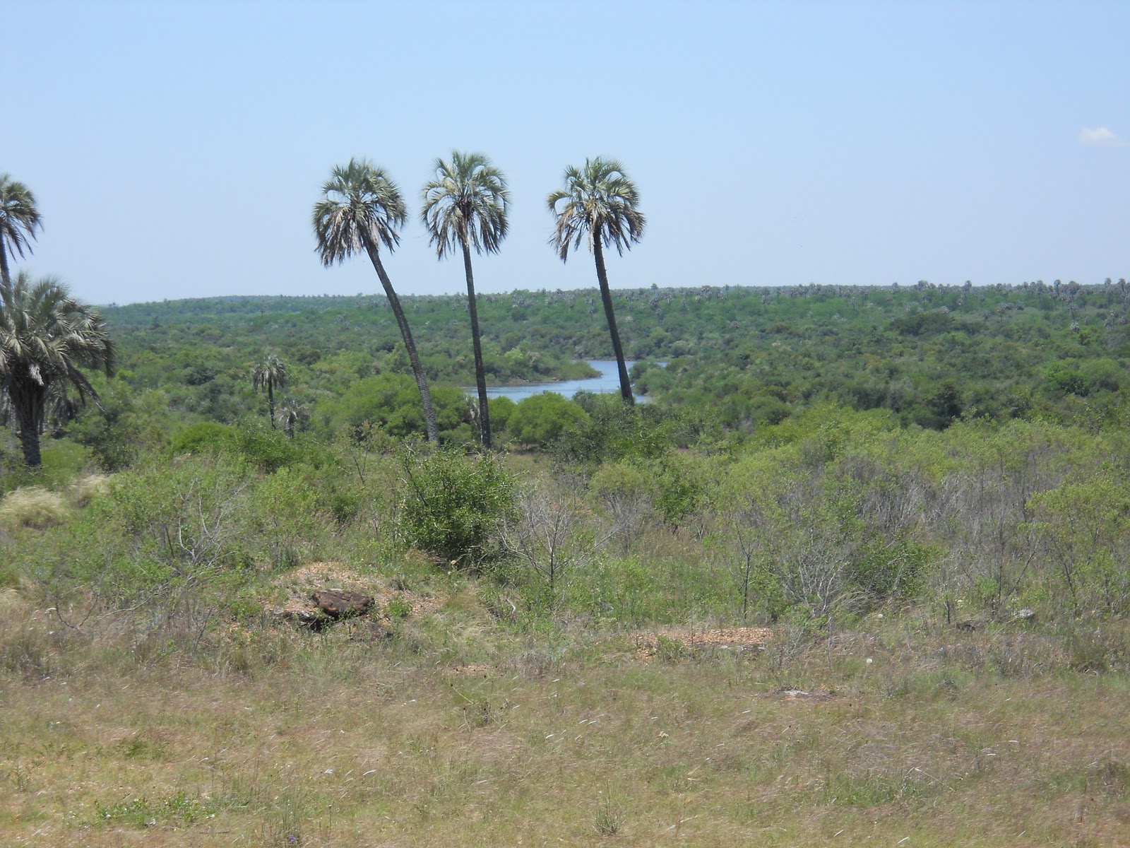 Donde el camino nos lleve: Parque Nacional El Palmar (Parte 1)