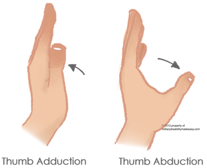 Physical Therapy Exercises: movement of thumb