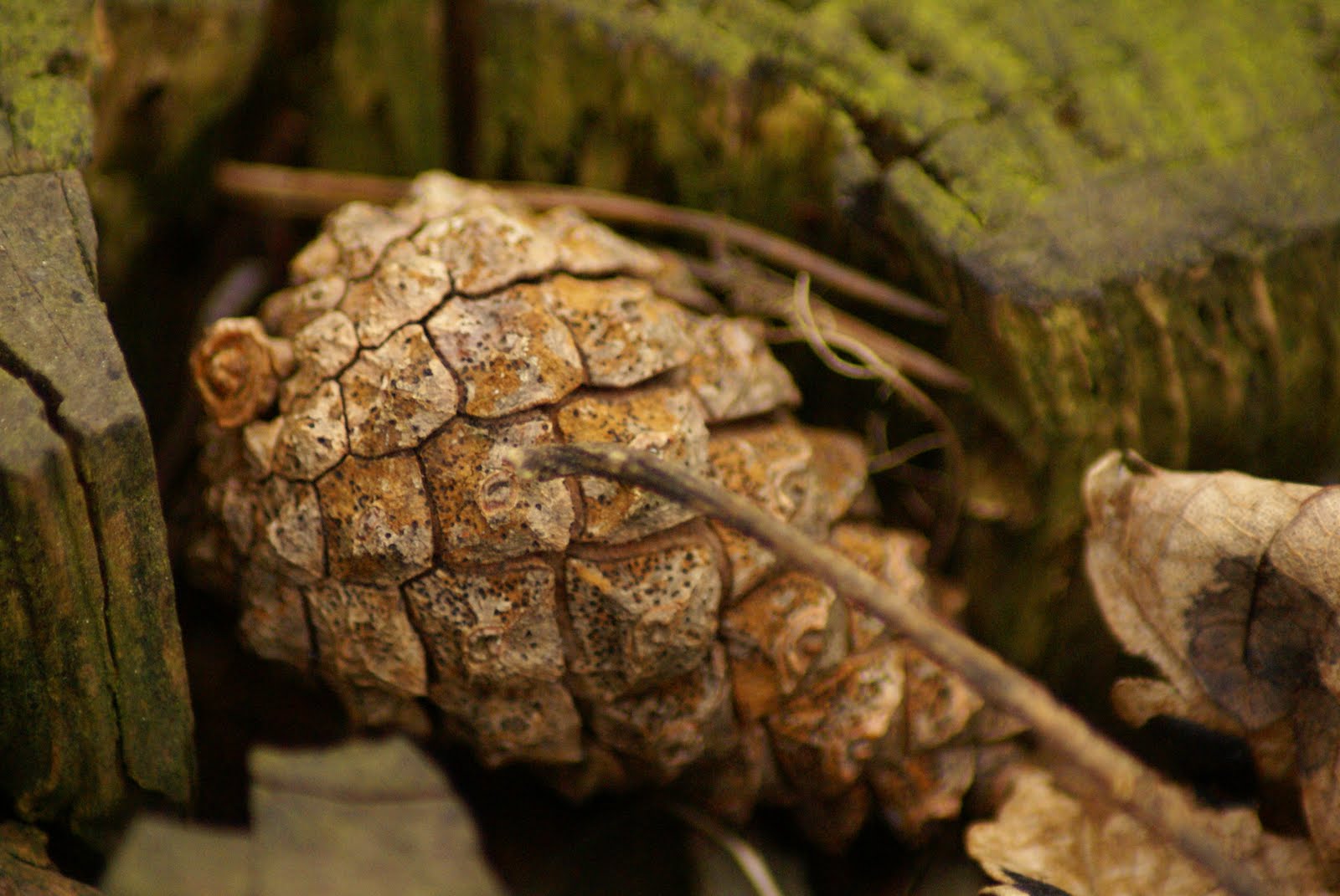 George Taylor Photography: Photo's Taken Based On A Photographer