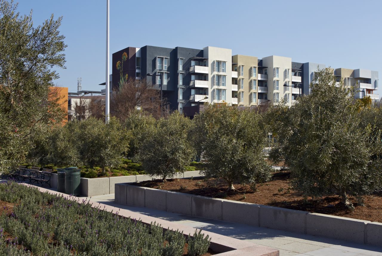 Architecture as Aesthetics: Station Center Family Housing / David Baker ...