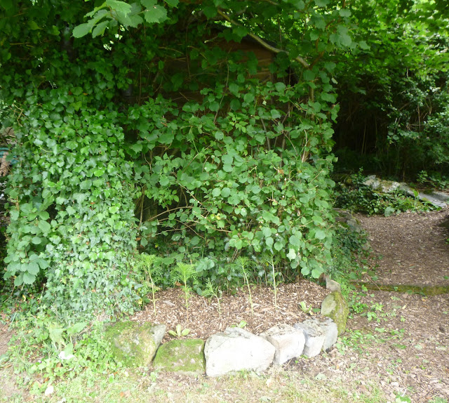 Our New Life in the Country: Green Corners, Work Corners