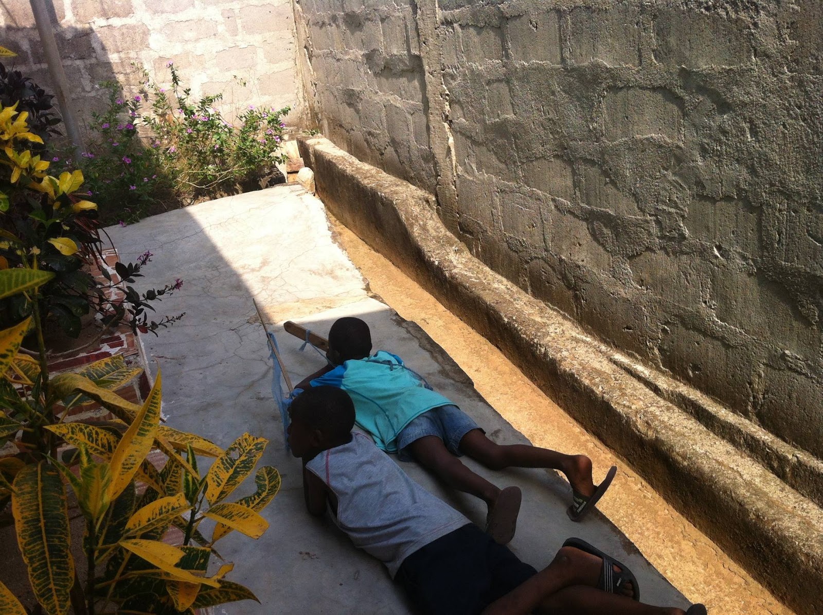 Stuart Marsden's Conservation Research Group: September 2017