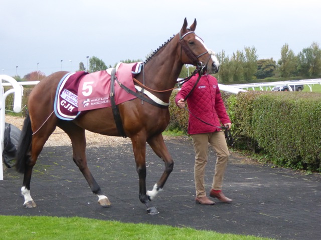 Morney Wing WINS at Haydock & Gowanauthat WINS at Ludlow - Charlie Mann ...