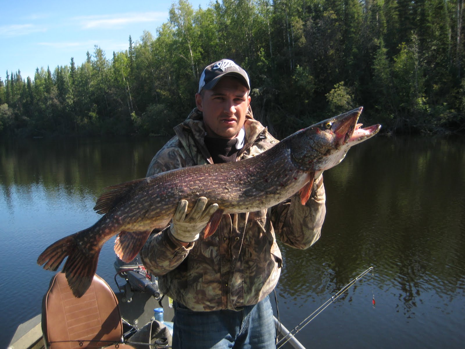 North to the Future. North to the Last Great Frontier.: Yukon River to ...