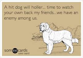 A Hit Dog Will Holler Idiom