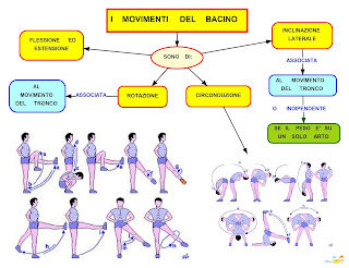 MAPPER: MOVIMENTI DEL BACINO