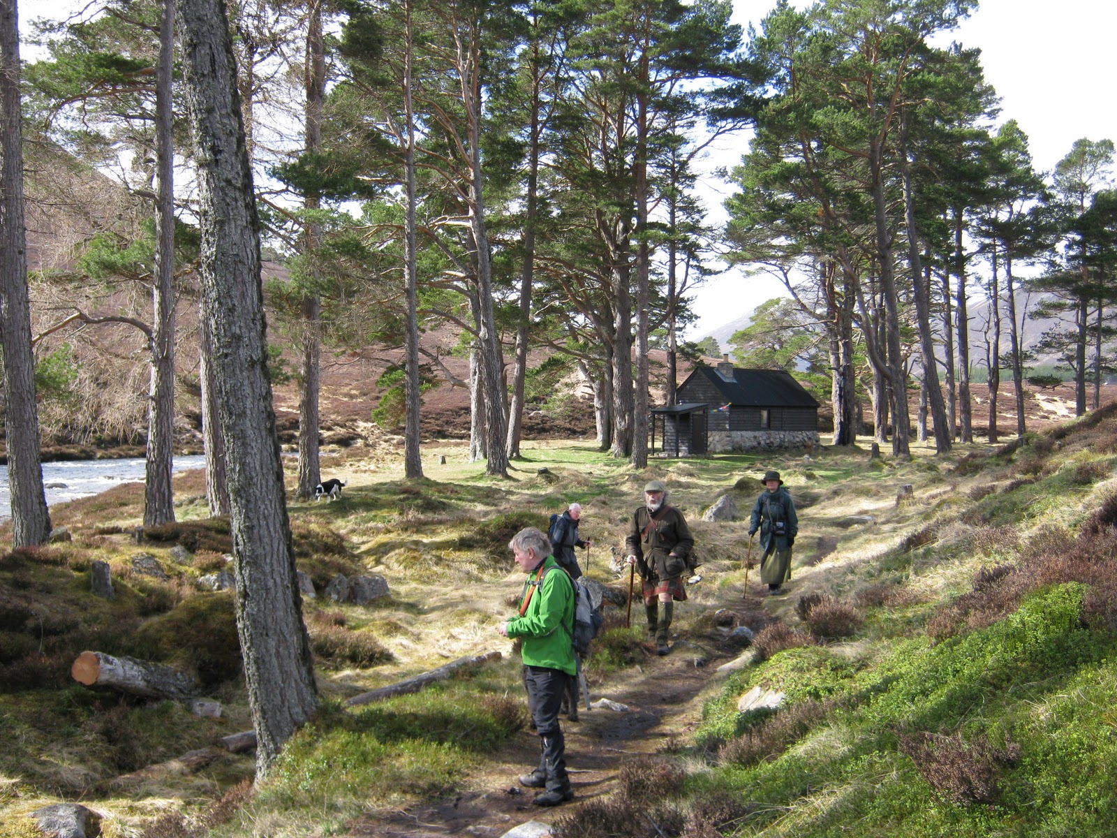 BRAEMAR WALKERS: Walk 21 Glen Derry & Bob Scotts Bothy