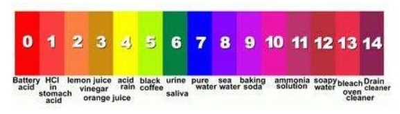 Jac's Blog Diary: 5 Health Benefits of Drinking Alkaline Water