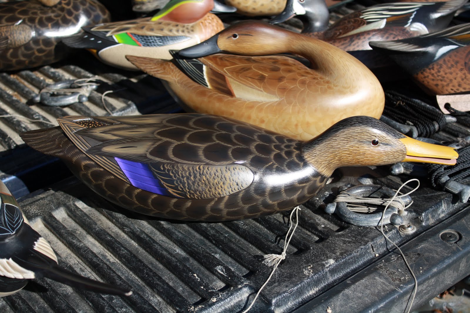 Perkins Center for the Arts Folklife Center: Dividing Creek