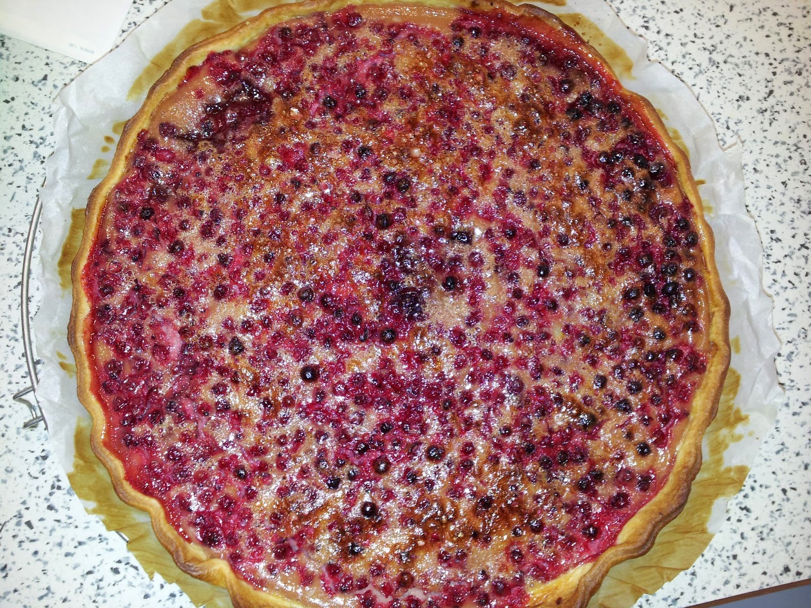 Le potager d'Andrée : 2014 juil 31 tarte aux groseilles rouges sans gluten