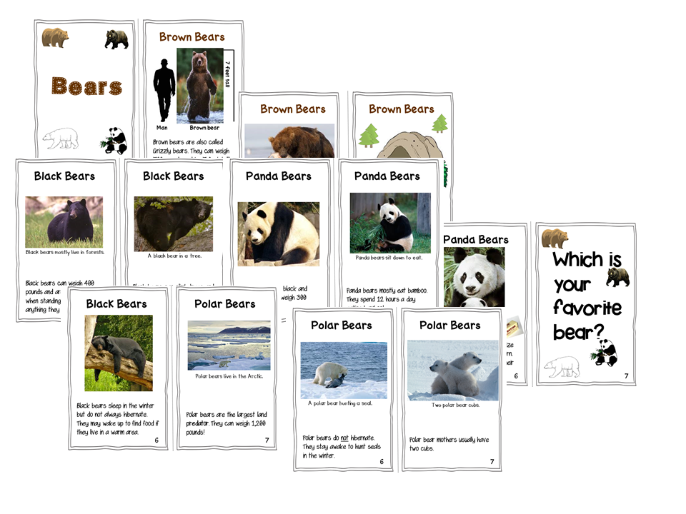 Sample's Superstars: Bear-y Common Core Updated with Bear-y Good Freebies!